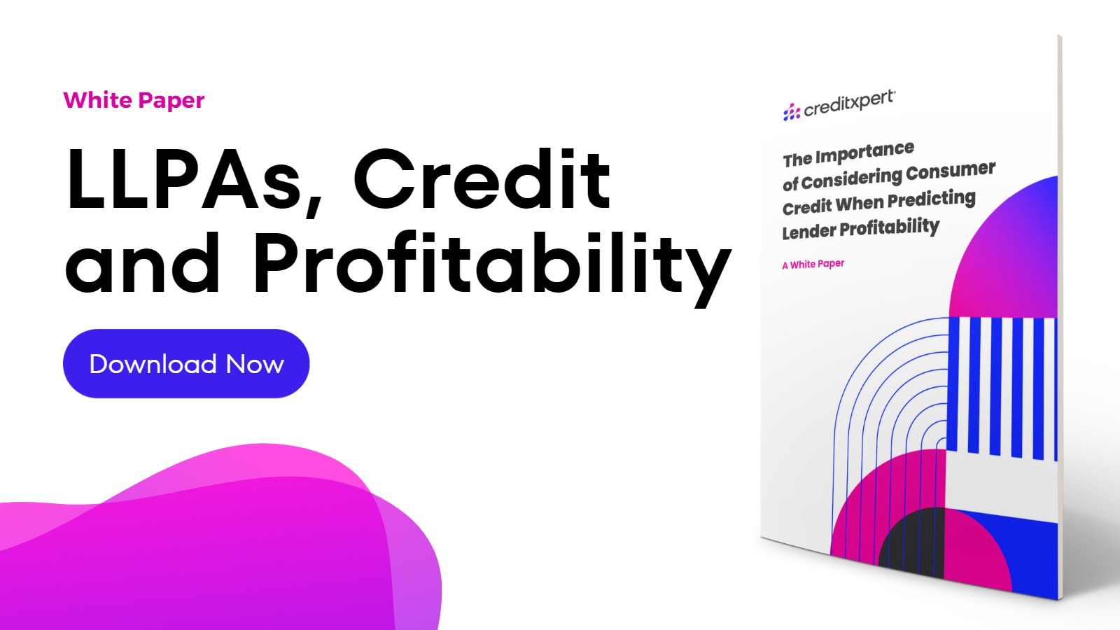 LLPAs, Credit and Profitability — White Paper